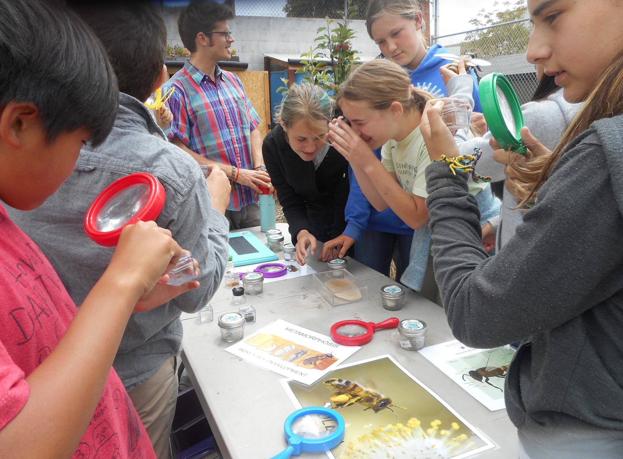 OUR MISSION — Planet Bee Foundation