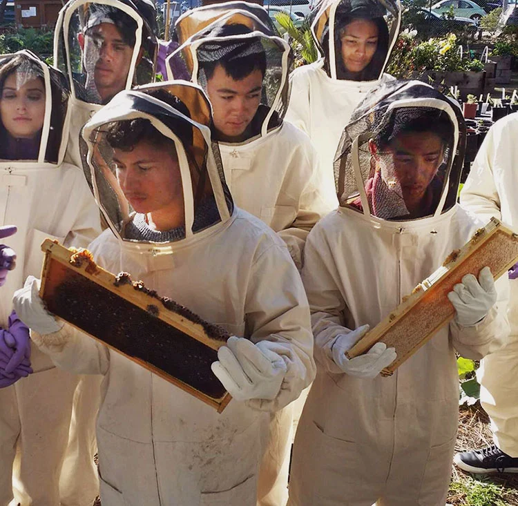 OUR MISSION — Planet Bee Foundation