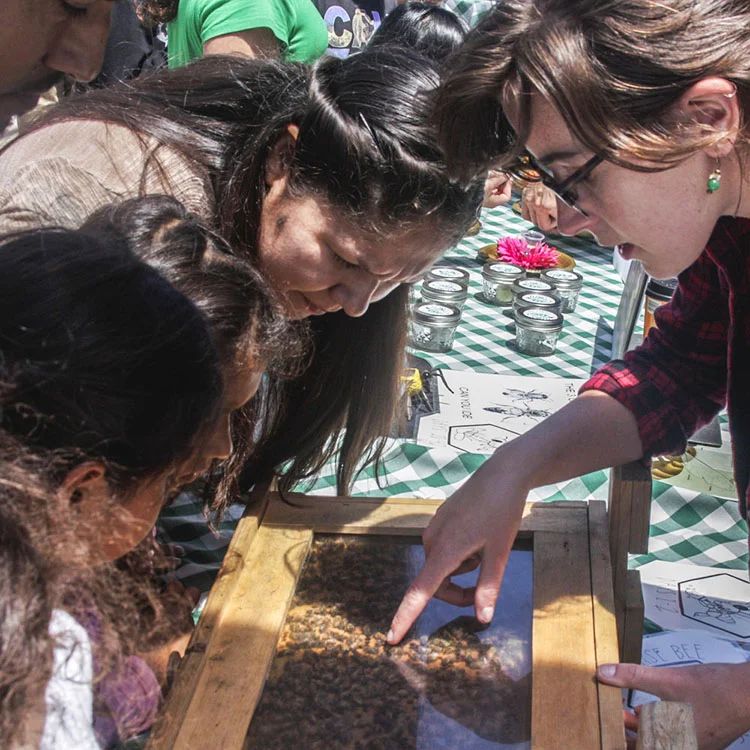 TESTIMONIALS — Planet Bee Foundation