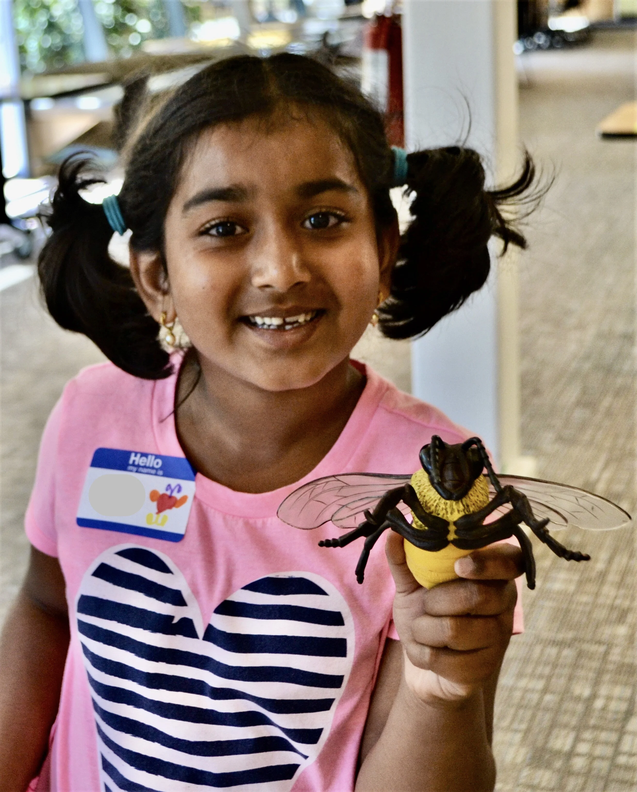 Planet Bee Blog — Planet Bee Foundation