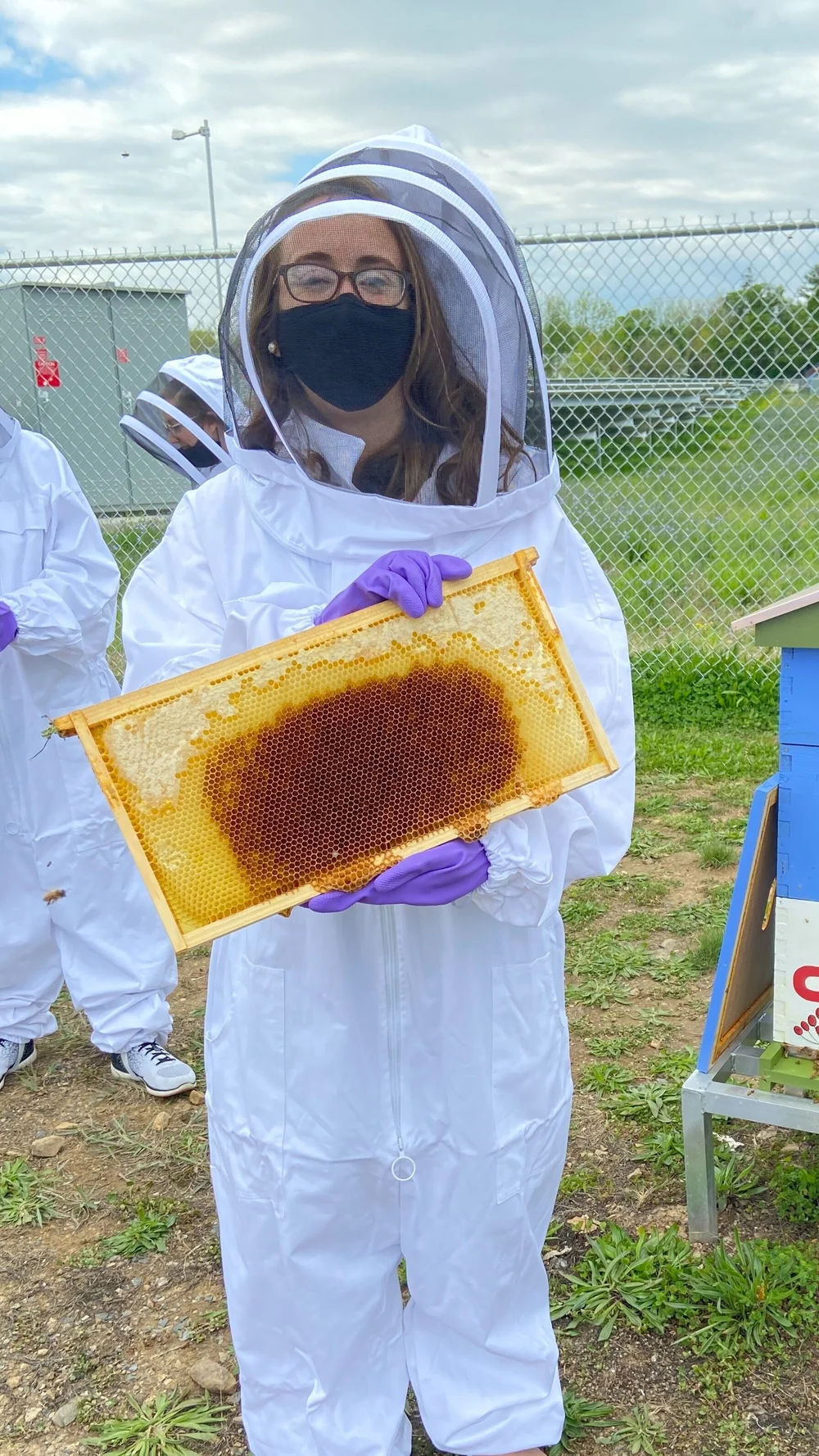 TESTIMONIALS — Planet Bee Foundation
