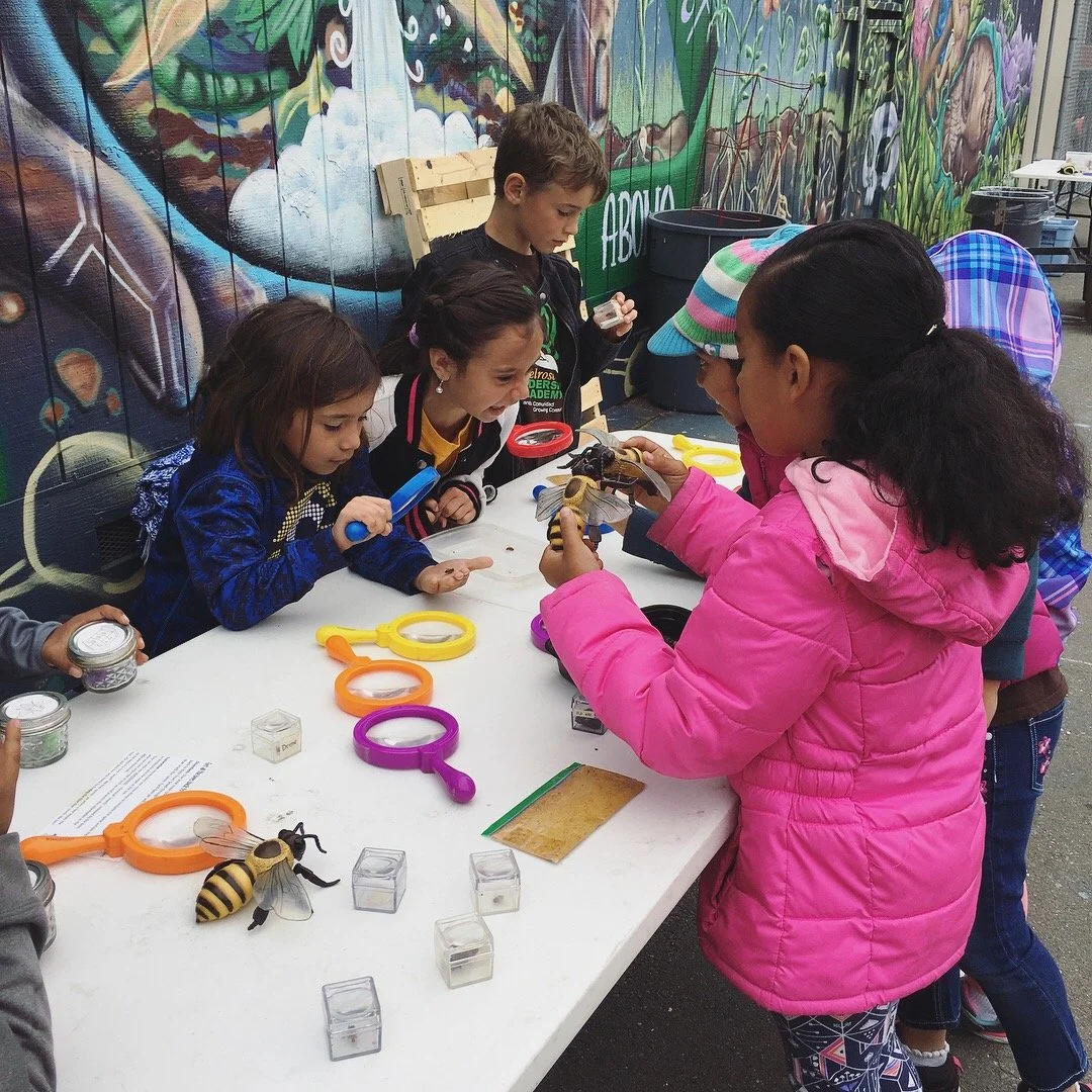 PLANET BEE BLOG — Planet Bee Foundation