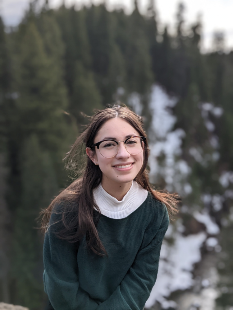 OUR TEAM — Planet Bee Foundation