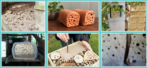 Planet Bee Foundation