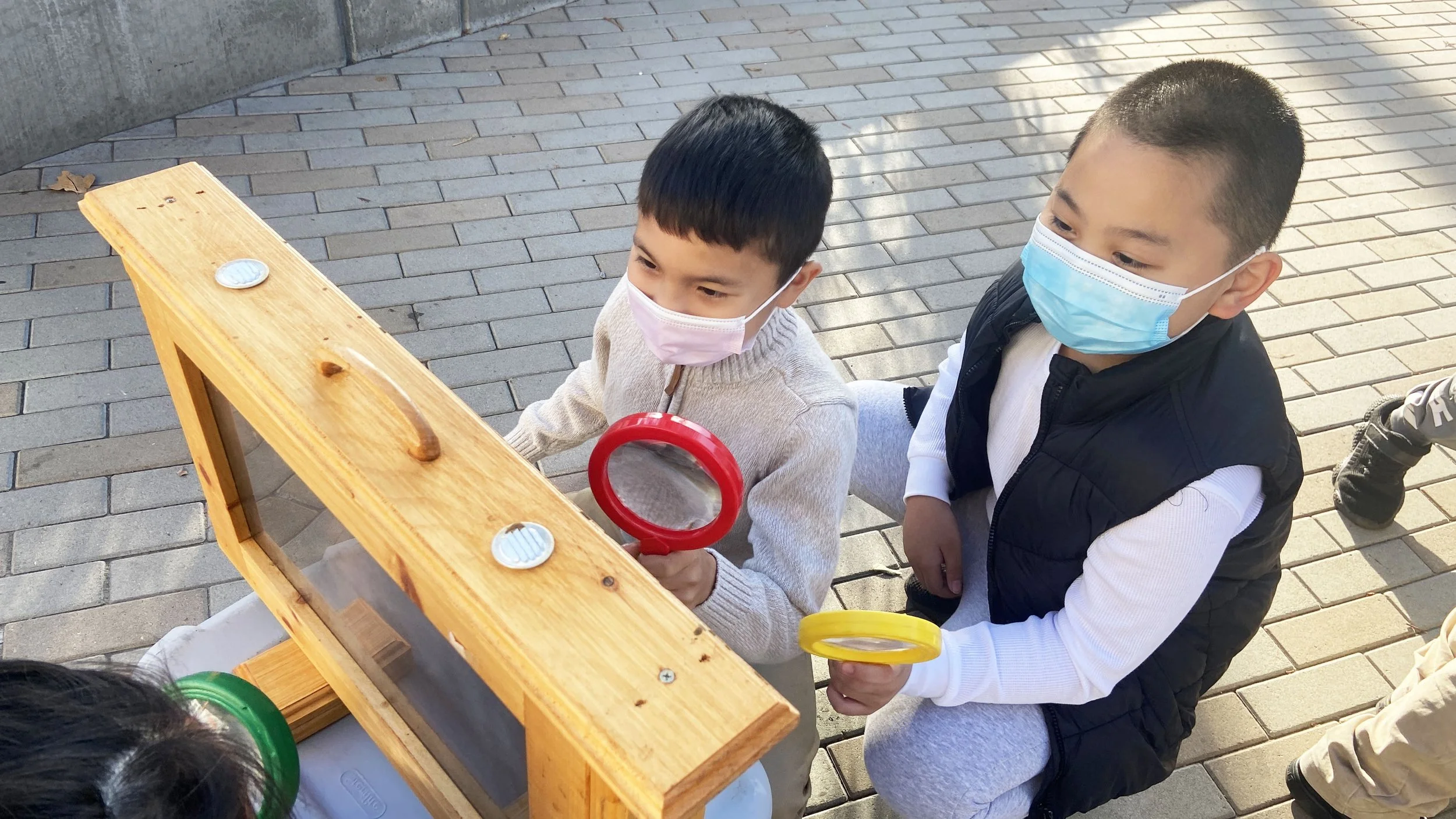 Planet Bee Foundation