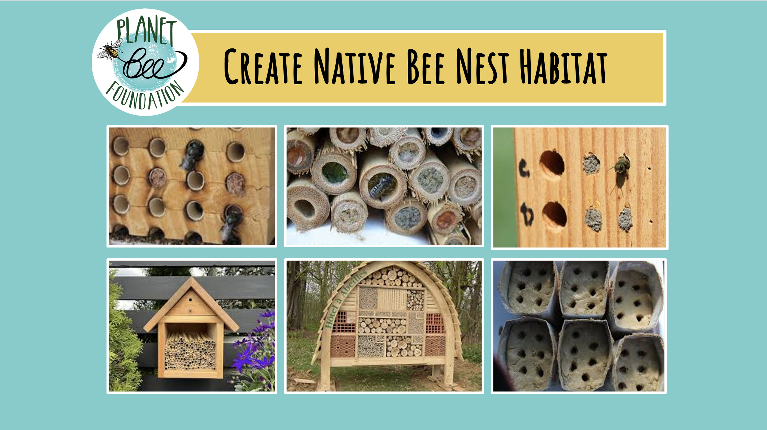 Planet Bee Foundation