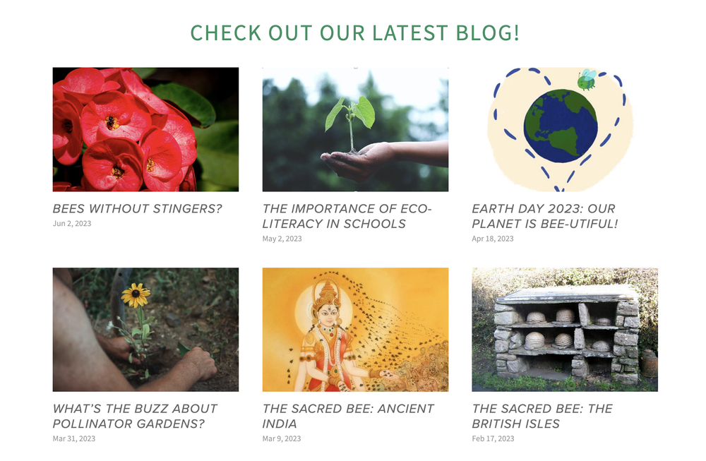 Planet Bee Foundation