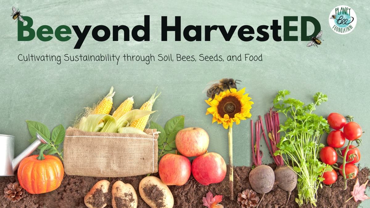 Planet Bee Foundation