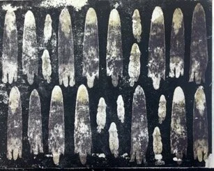 Sandra Talbot | Third Nature: Divining the Scientific Archive ...