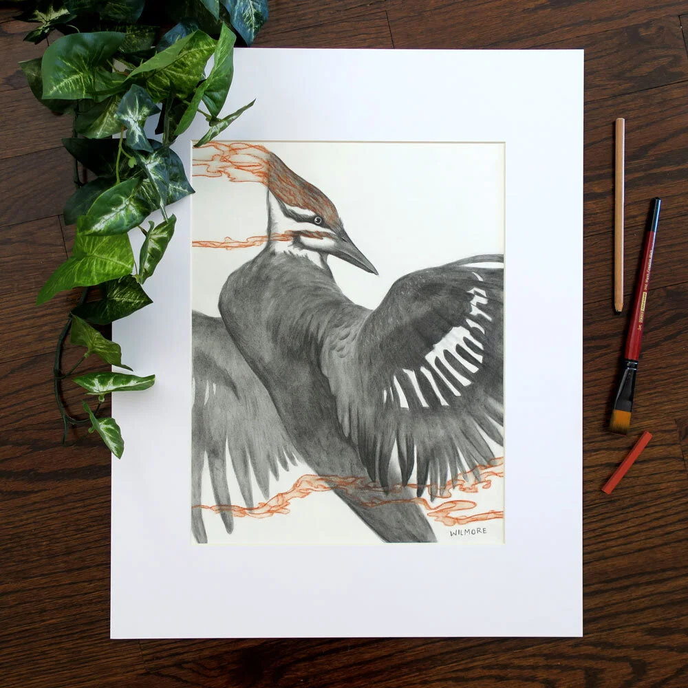 Earthly Disposition - Illustration and Poetry — Julie Wilmore Illustration