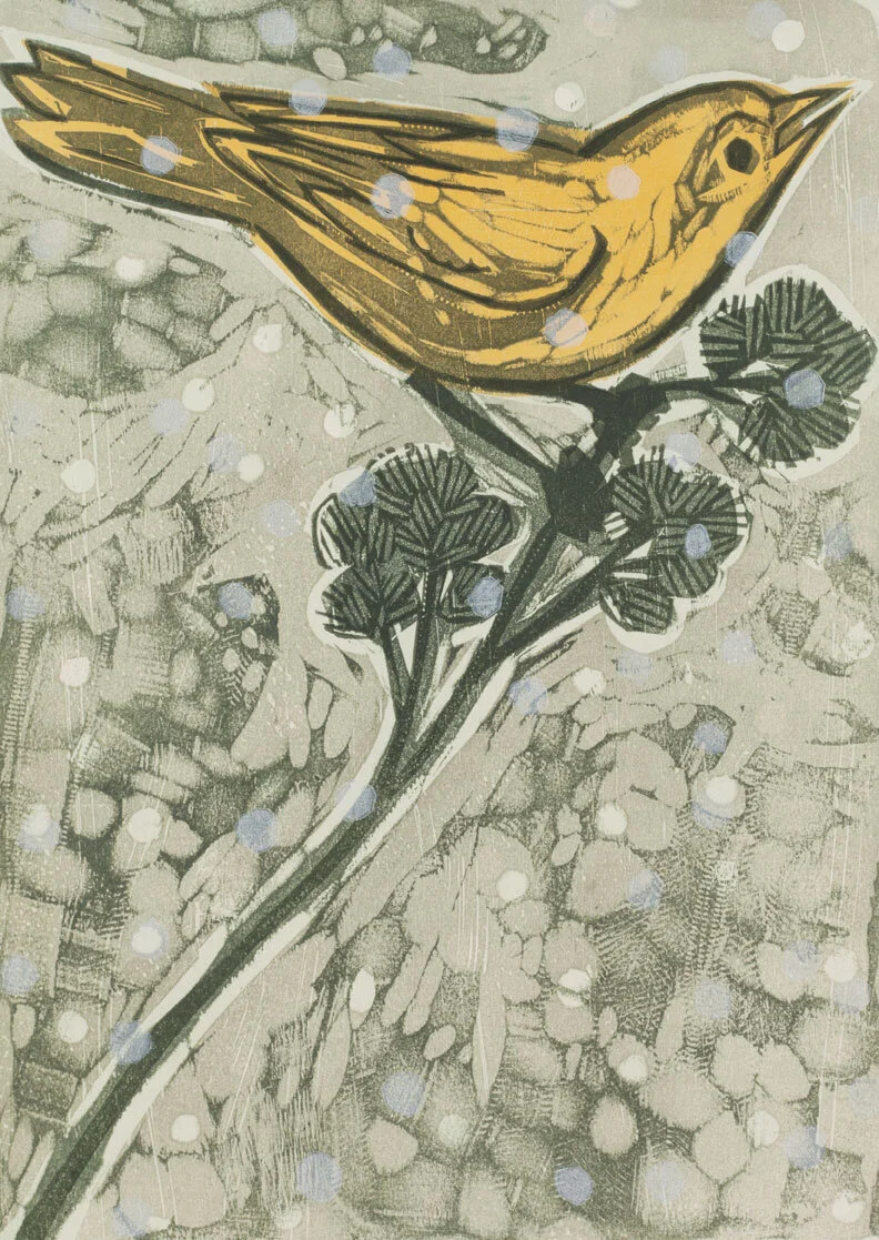 WOODCUTS of birds — KENT AMBLER