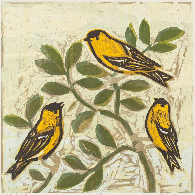 WOODCUTS of birds — KENT AMBLER