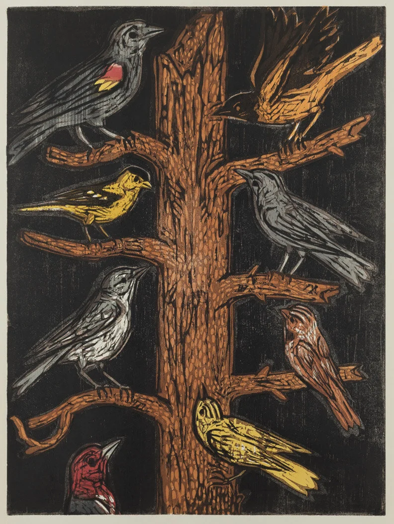 WOODCUTS of birds — KENT AMBLER