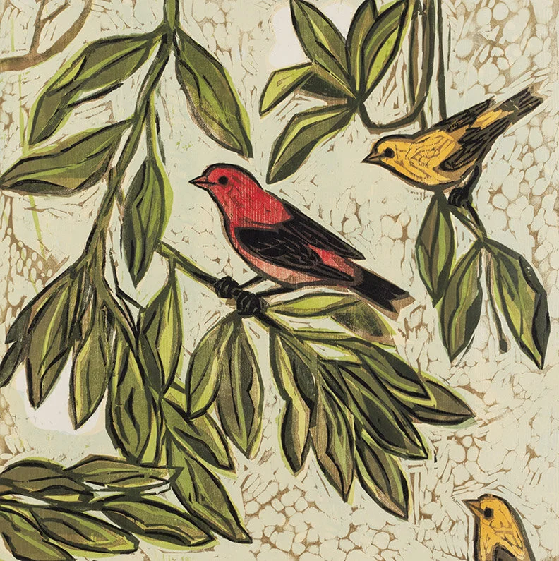 WOODCUTS of birds — KENT AMBLER