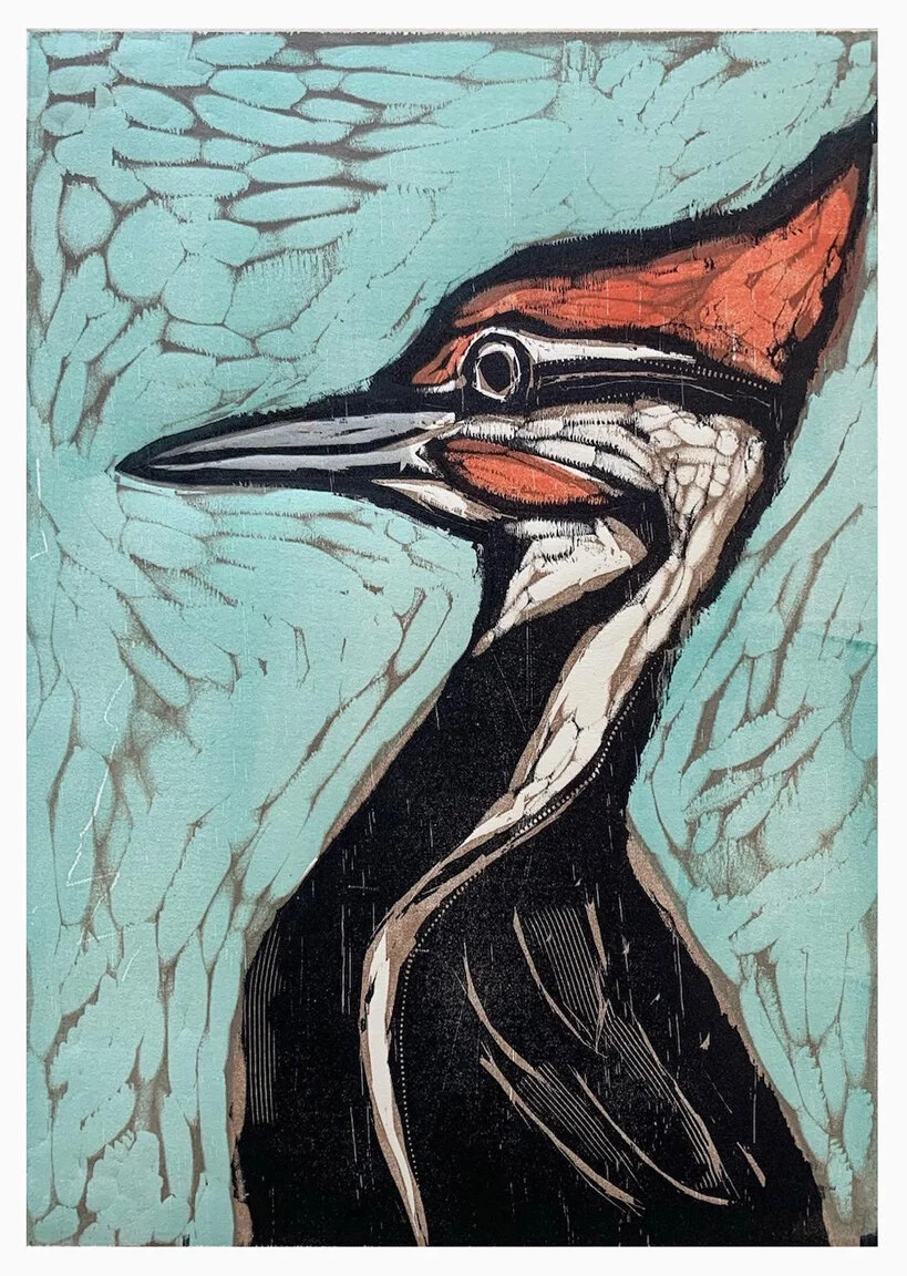 WOODCUTS of birds — KENT AMBLER