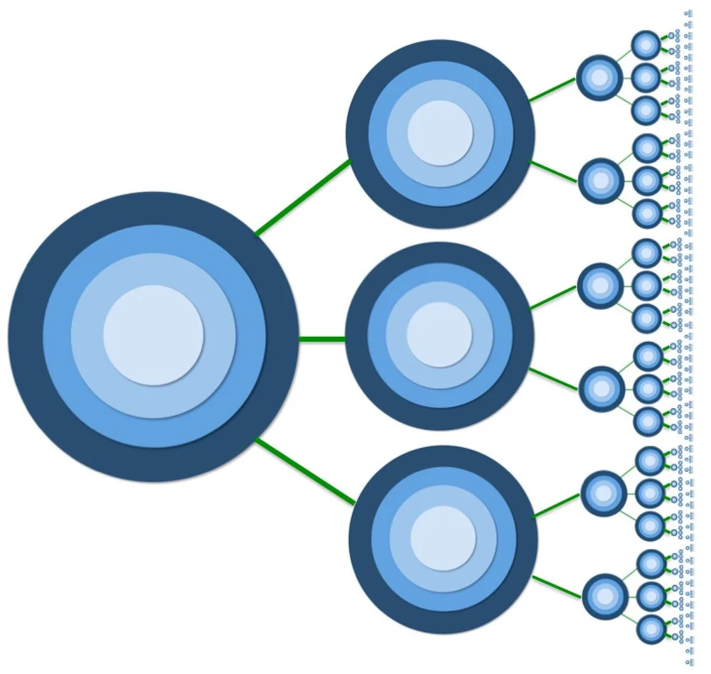 What We Do — solid