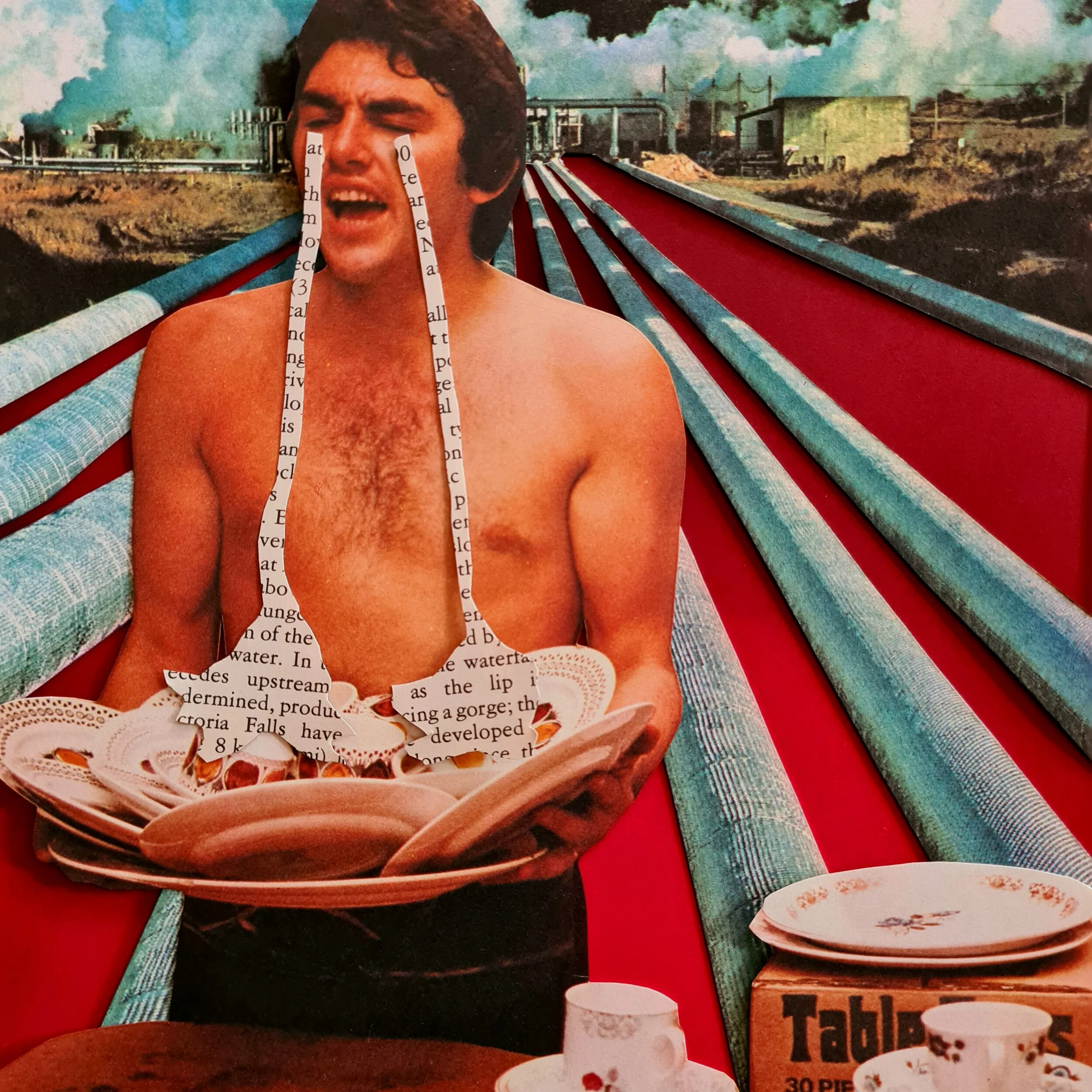 Michelle Leber POET & ARTIST-COLLAGE