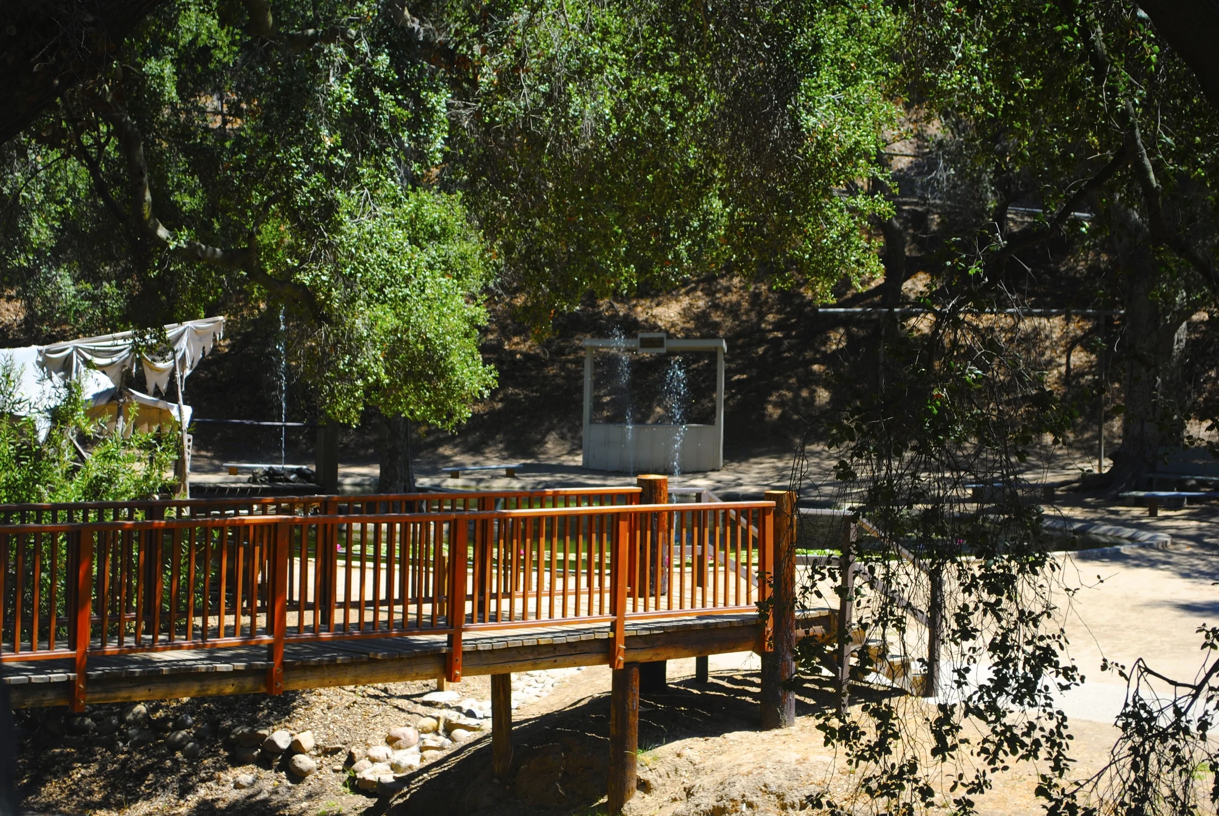 About Us — Cali Camp