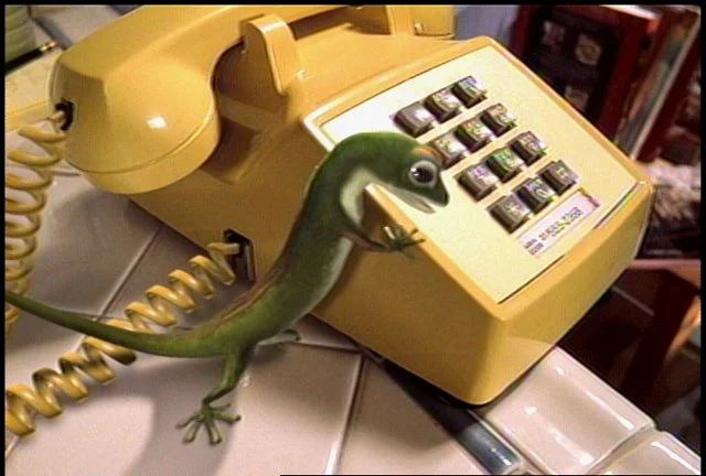 Geico Gecko First Commercial