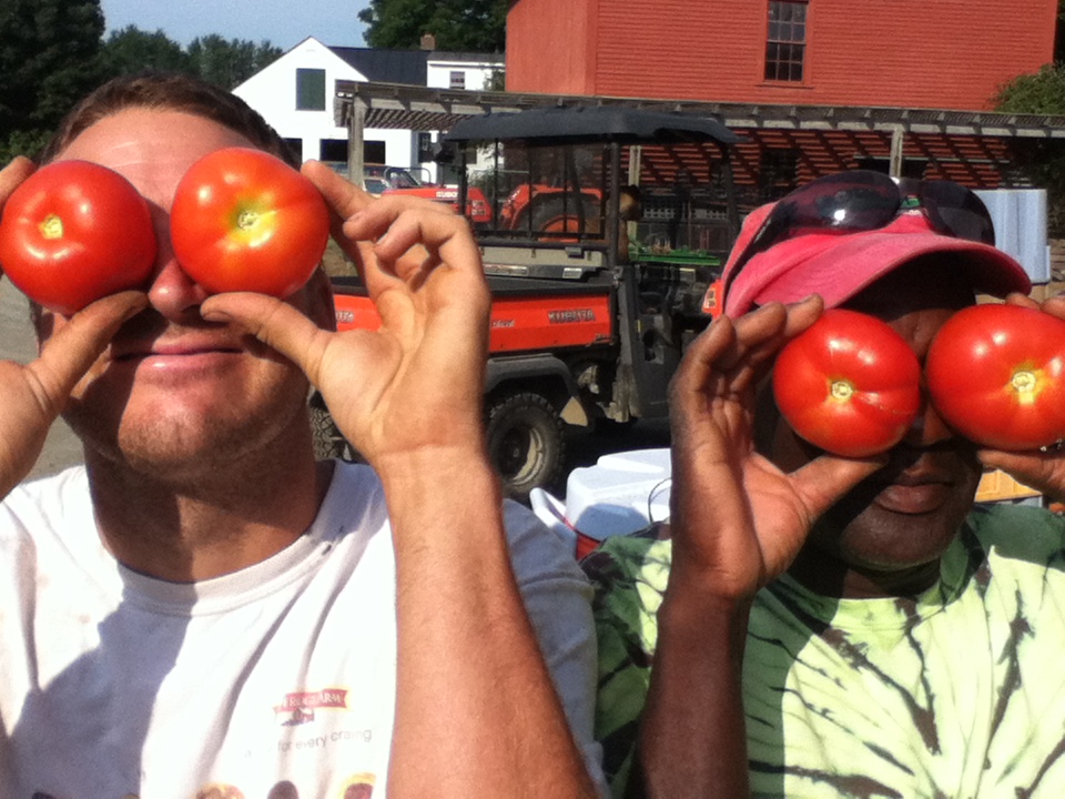 Harvest Season — Edgewater Farm