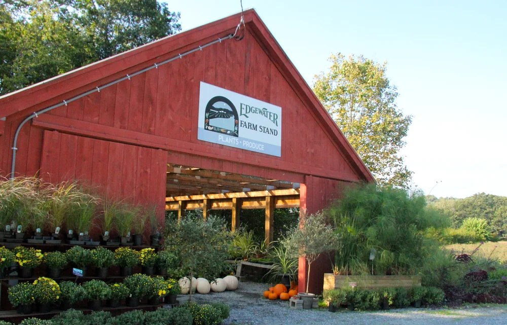 Farmstand & Kitchen — Edgewater Farm