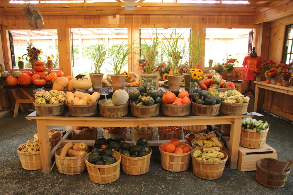 Farmstand & Kitchen — Edgewater Farm