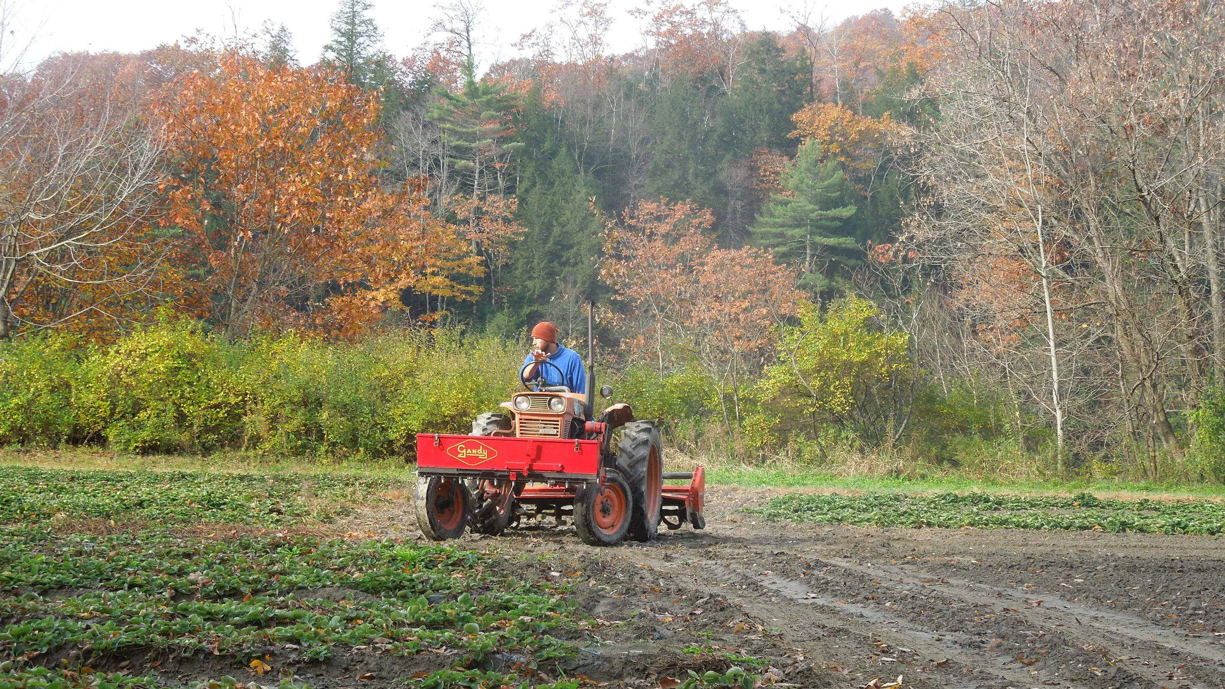 Farming Practices — Edgewater Farm