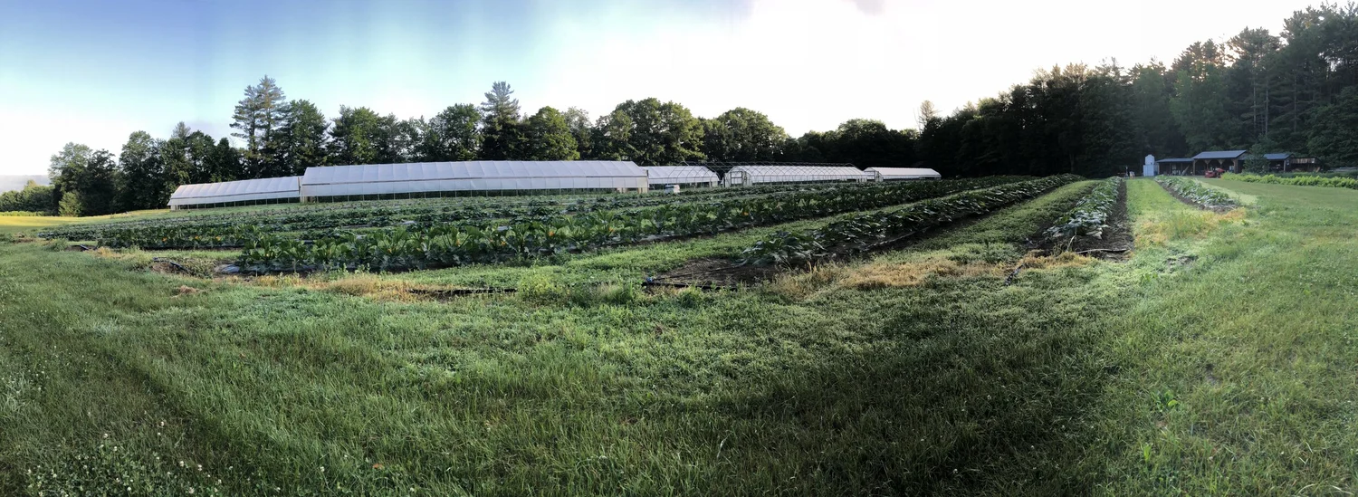 Harvest Season — Edgewater Farm