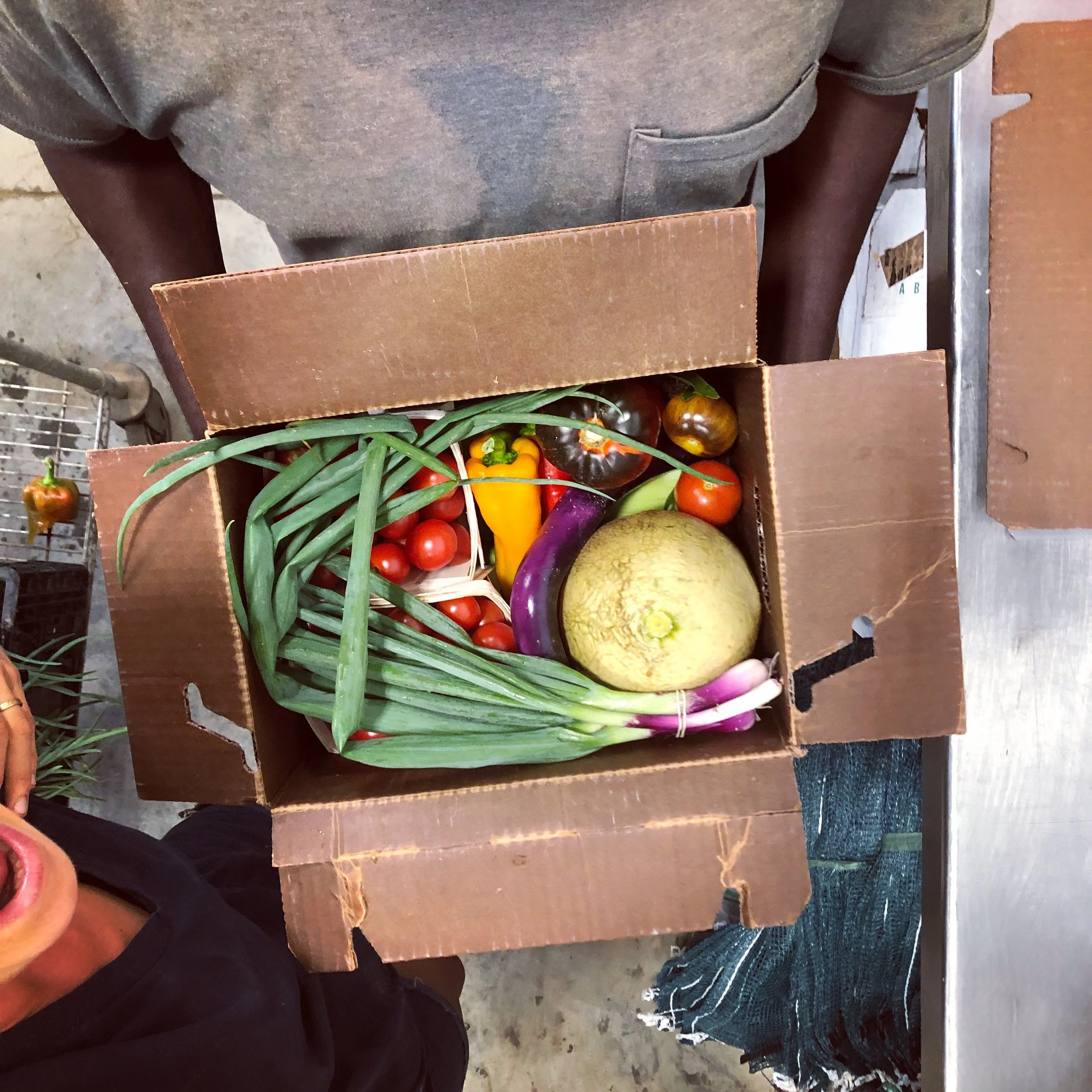 CSA Shop — Edgewater Farm