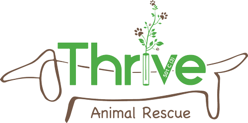 Thrive Animal Rescue