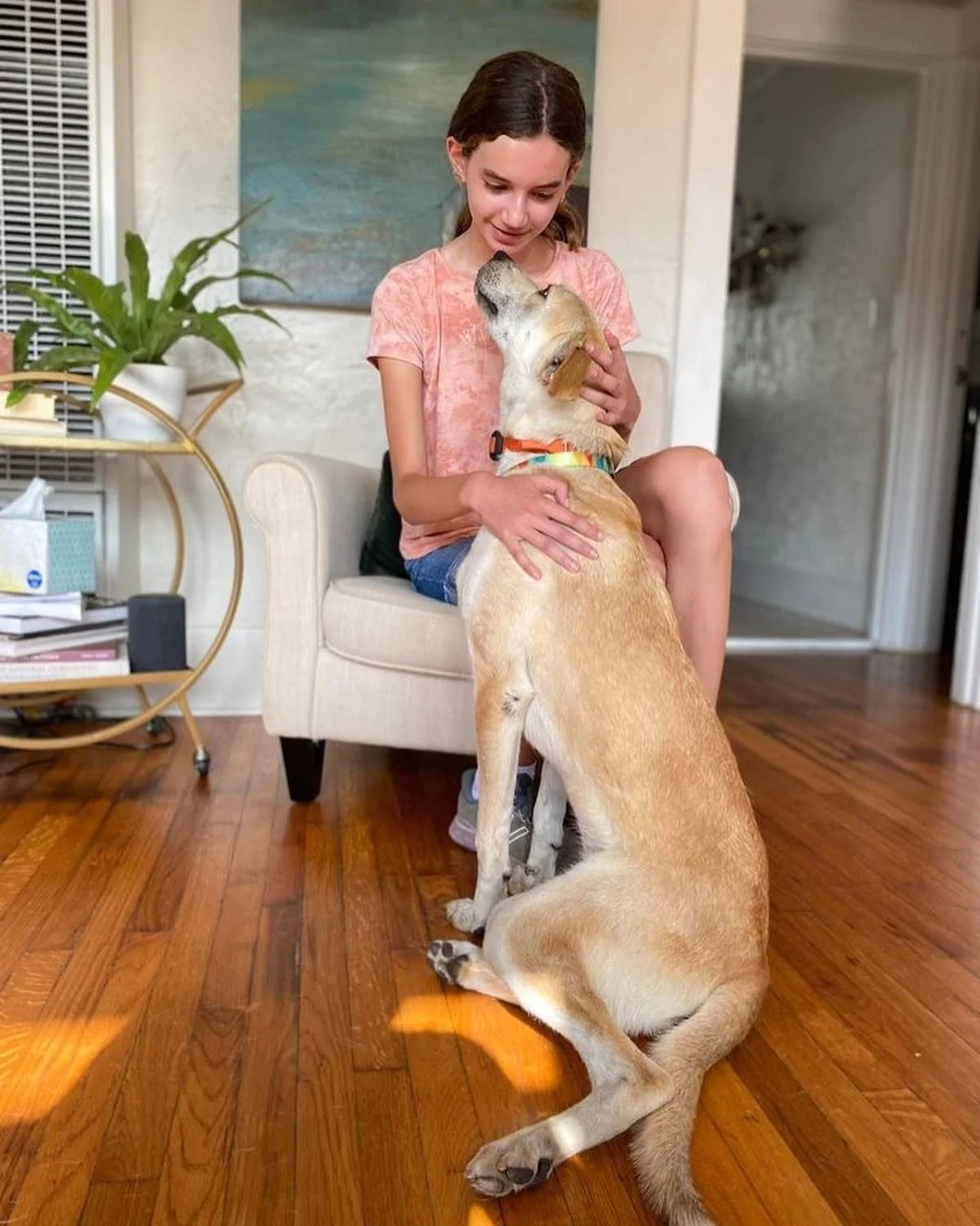Foster Application — Thrive Animal Rescue