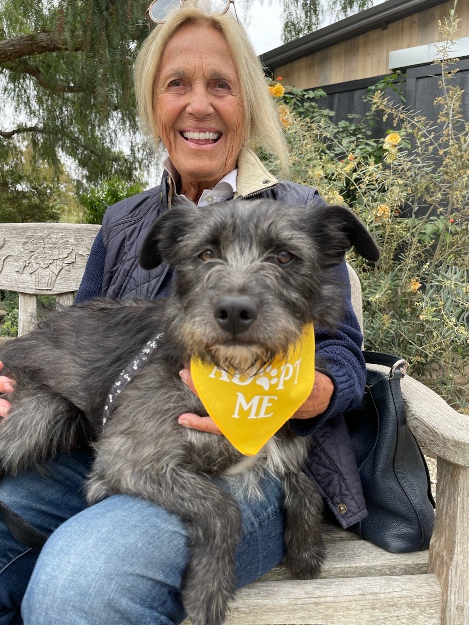 Volunteer — Thrive Animal Rescue