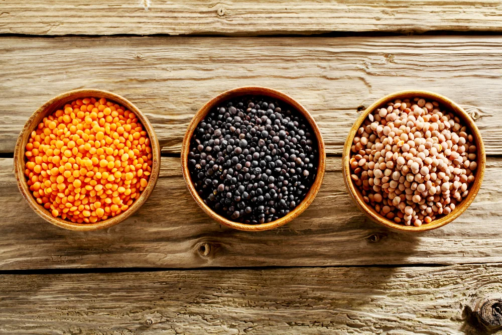 In love with lentils! — Rebecca Katz