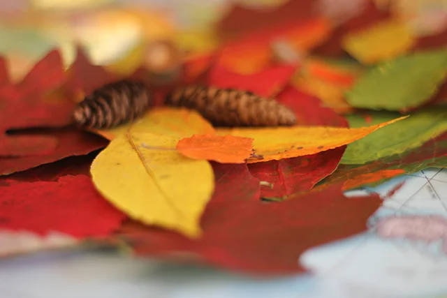 We're Going on a Leaf Hunt Wreath with Classic Play — There's Good in Store