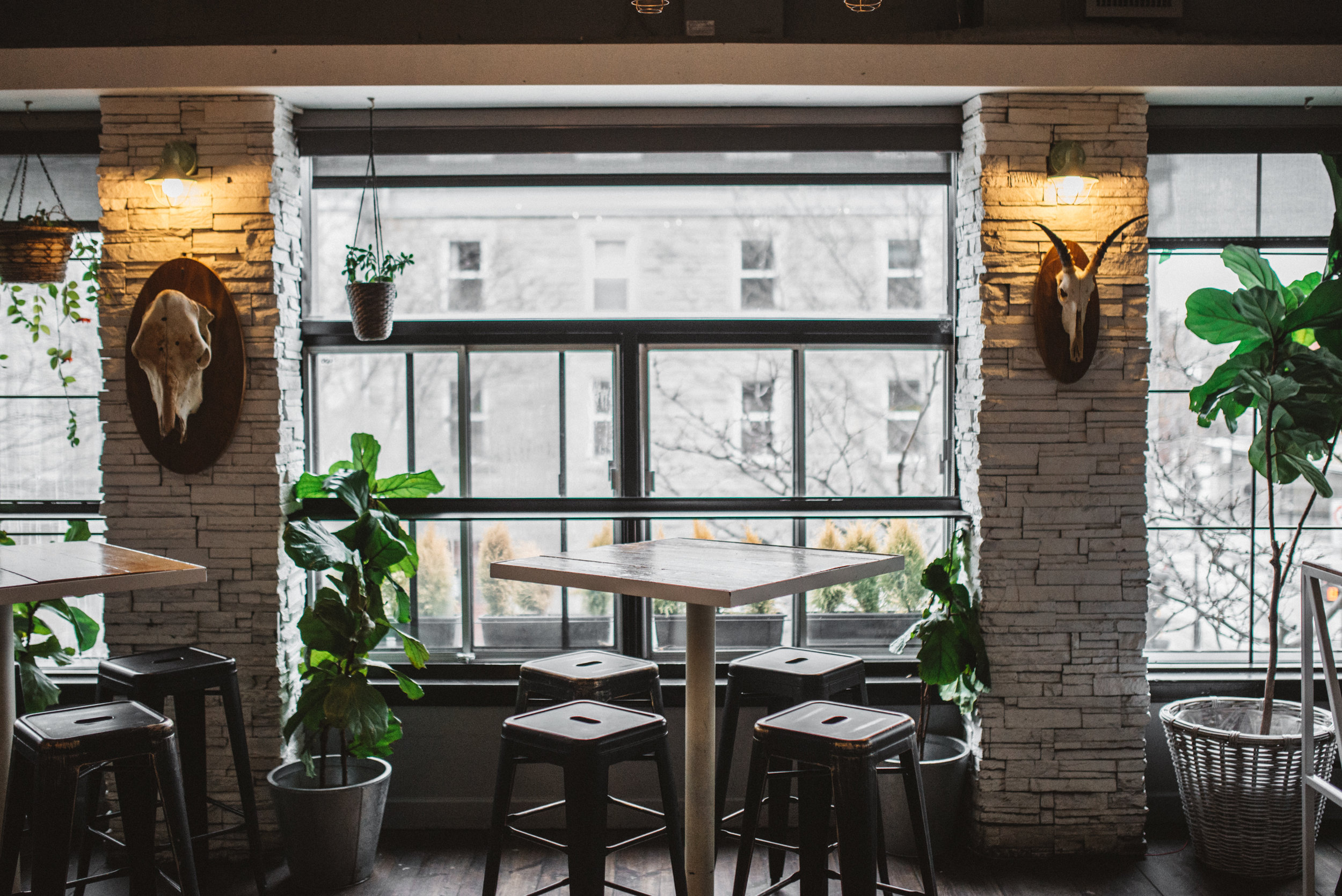 Fitzroy - Bar - Loft - Billard