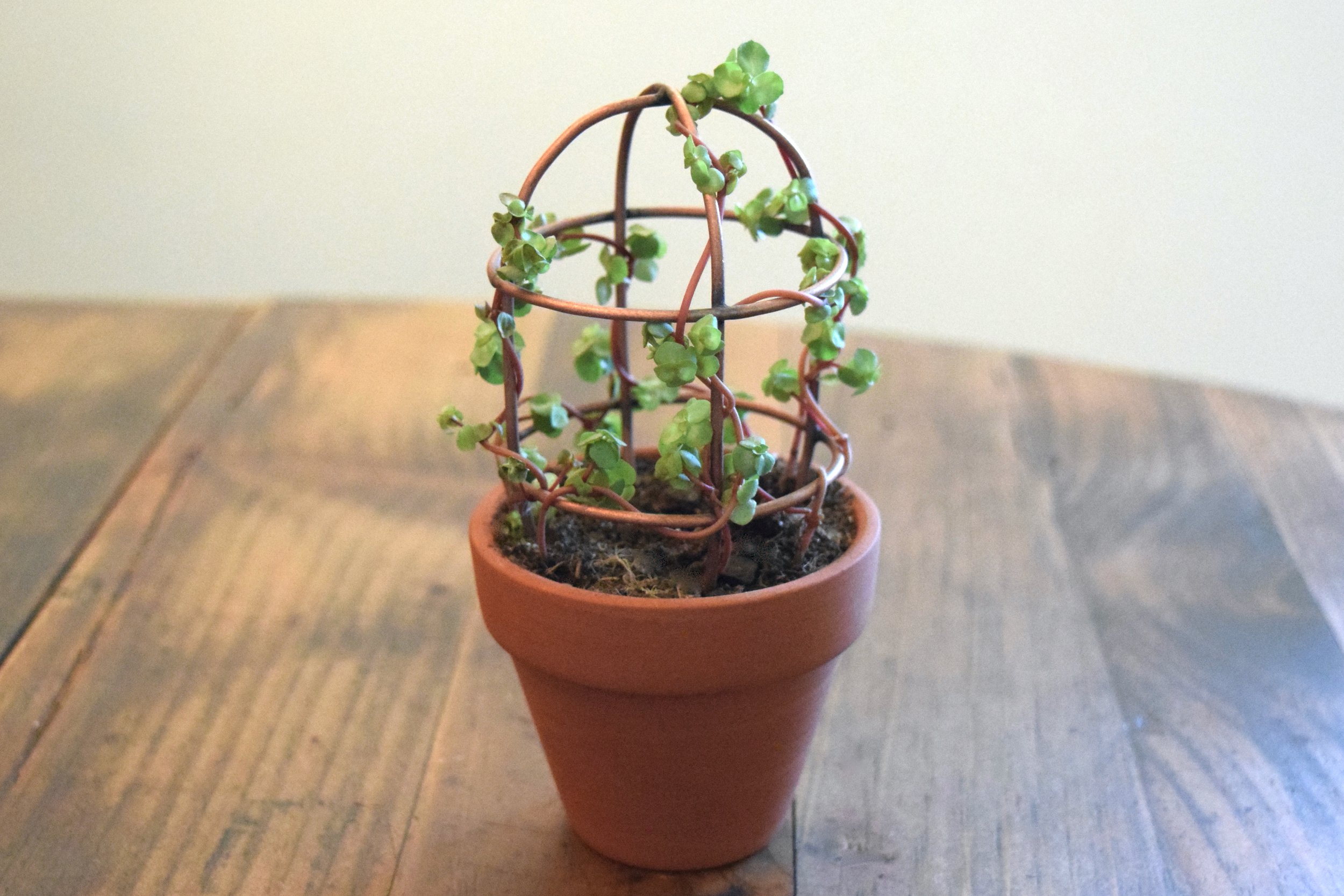 Mini Plant Obelisk in Copper — Lithic Design