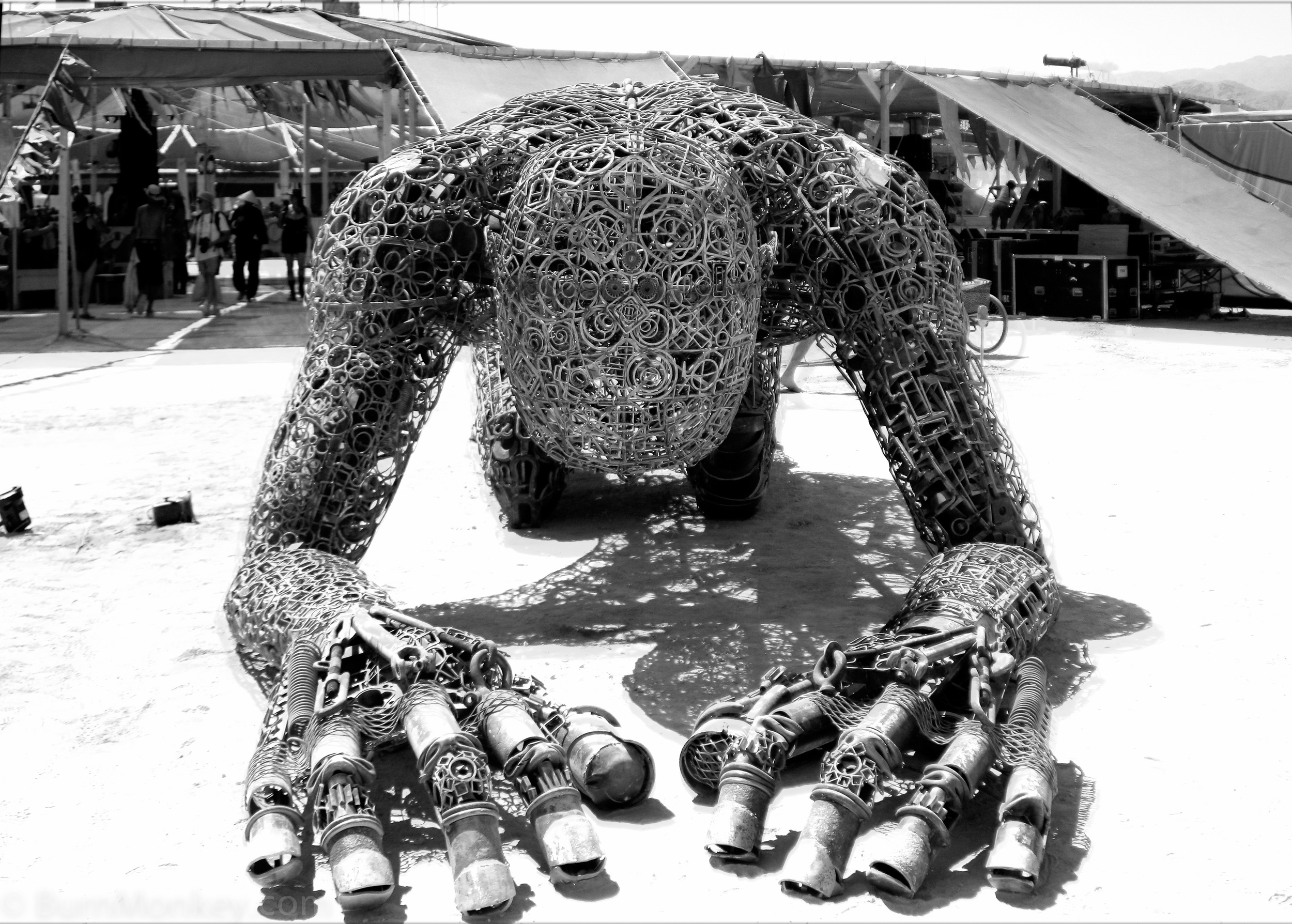 Phil Steele Photography