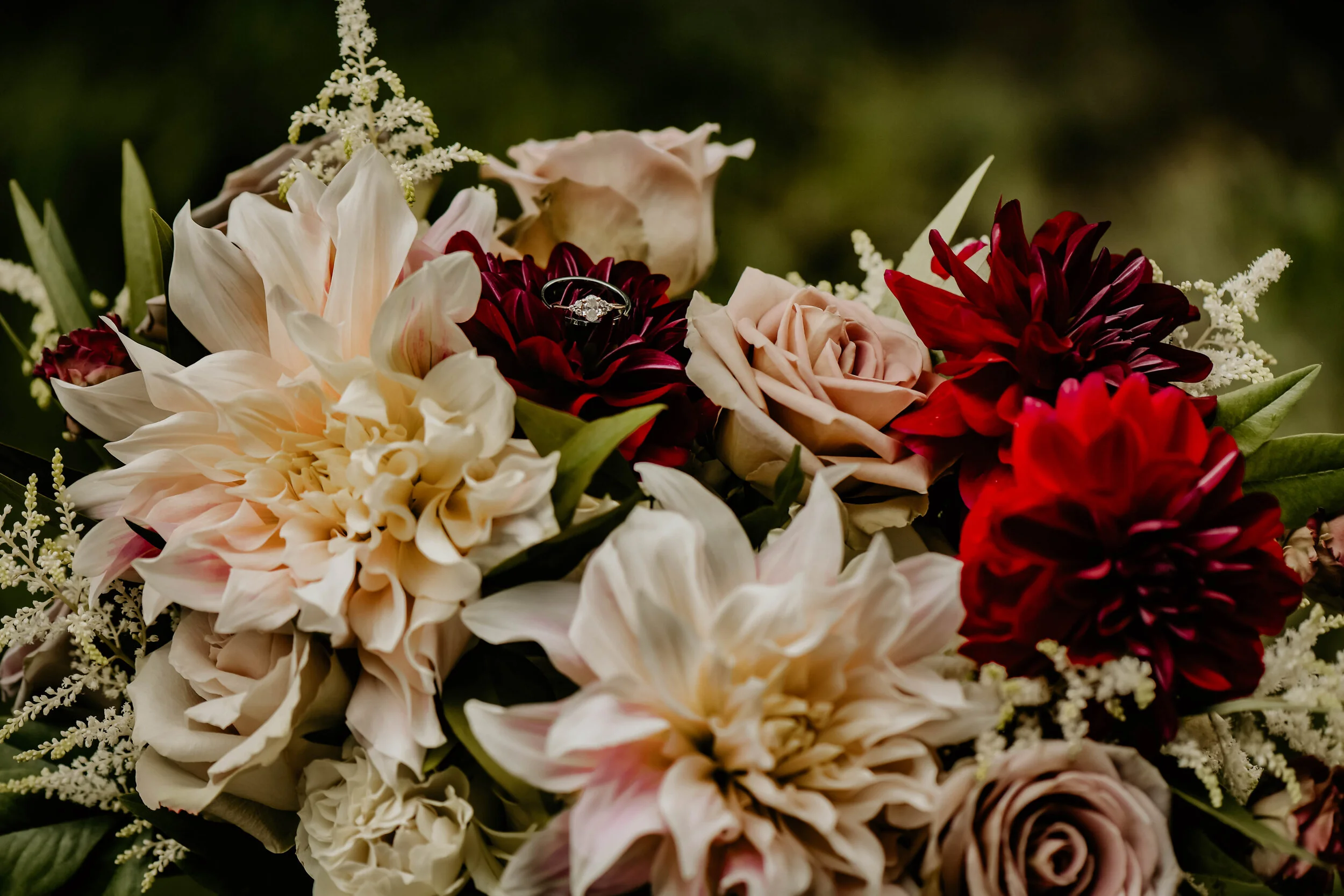 GALLERY — Wild Poppy