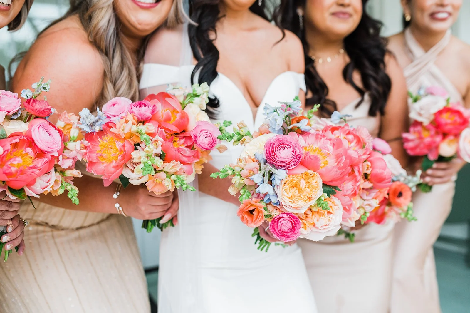 GALLERY — Wild Poppy