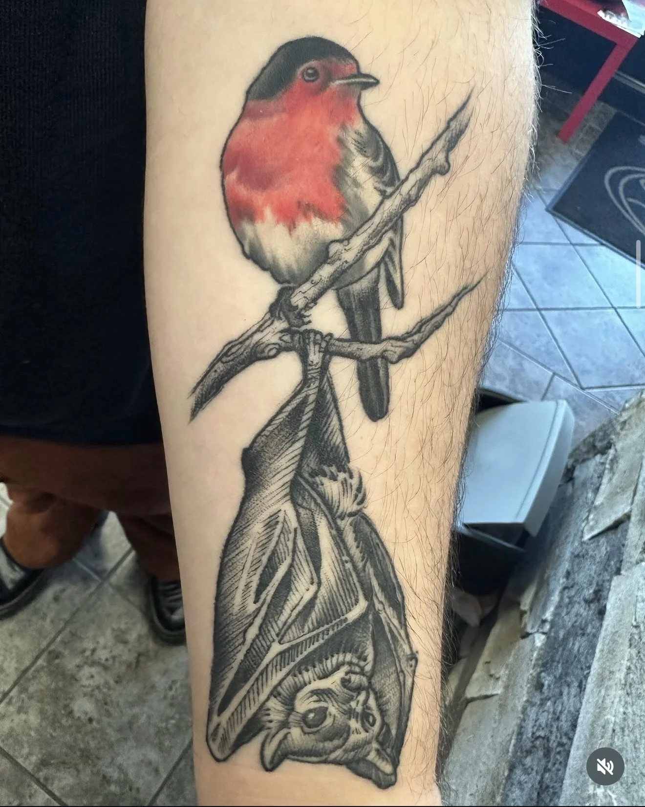 Dan Fields — St. Peters Tattoo Artist — Self Inflicted Studios