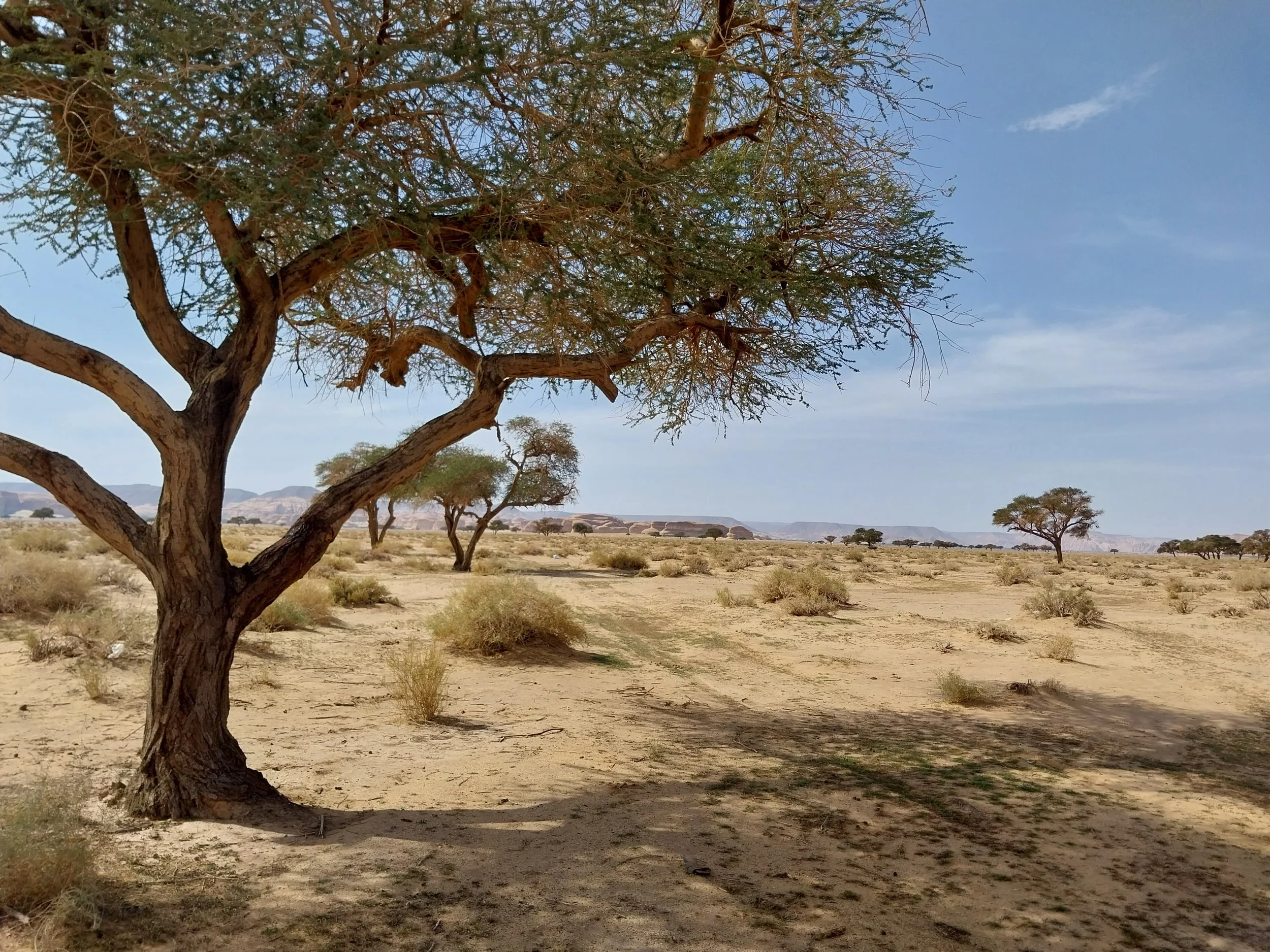 The Hidden Valley — Husaak Adventures