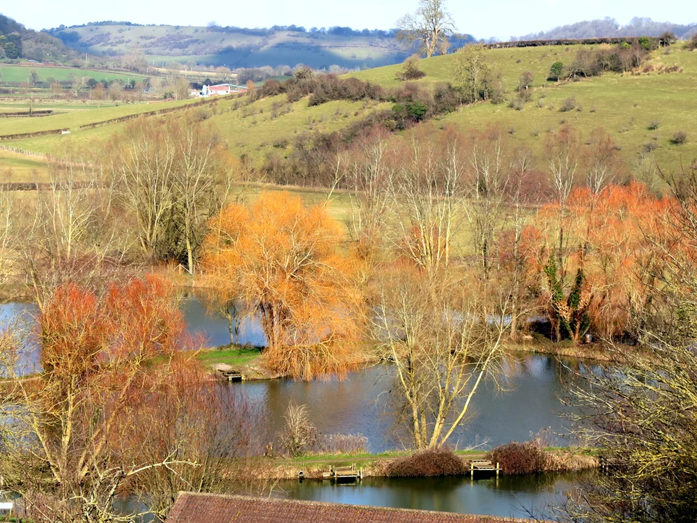 ART SPACE Blog — SANDRA MEECH