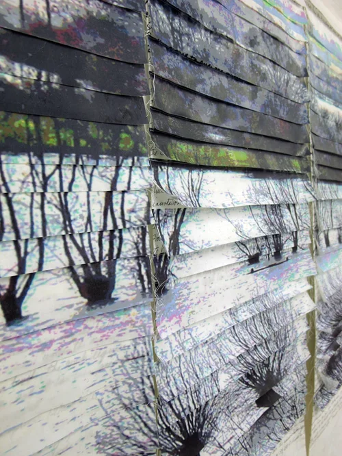 ART SPACE Blog — SANDRA MEECH