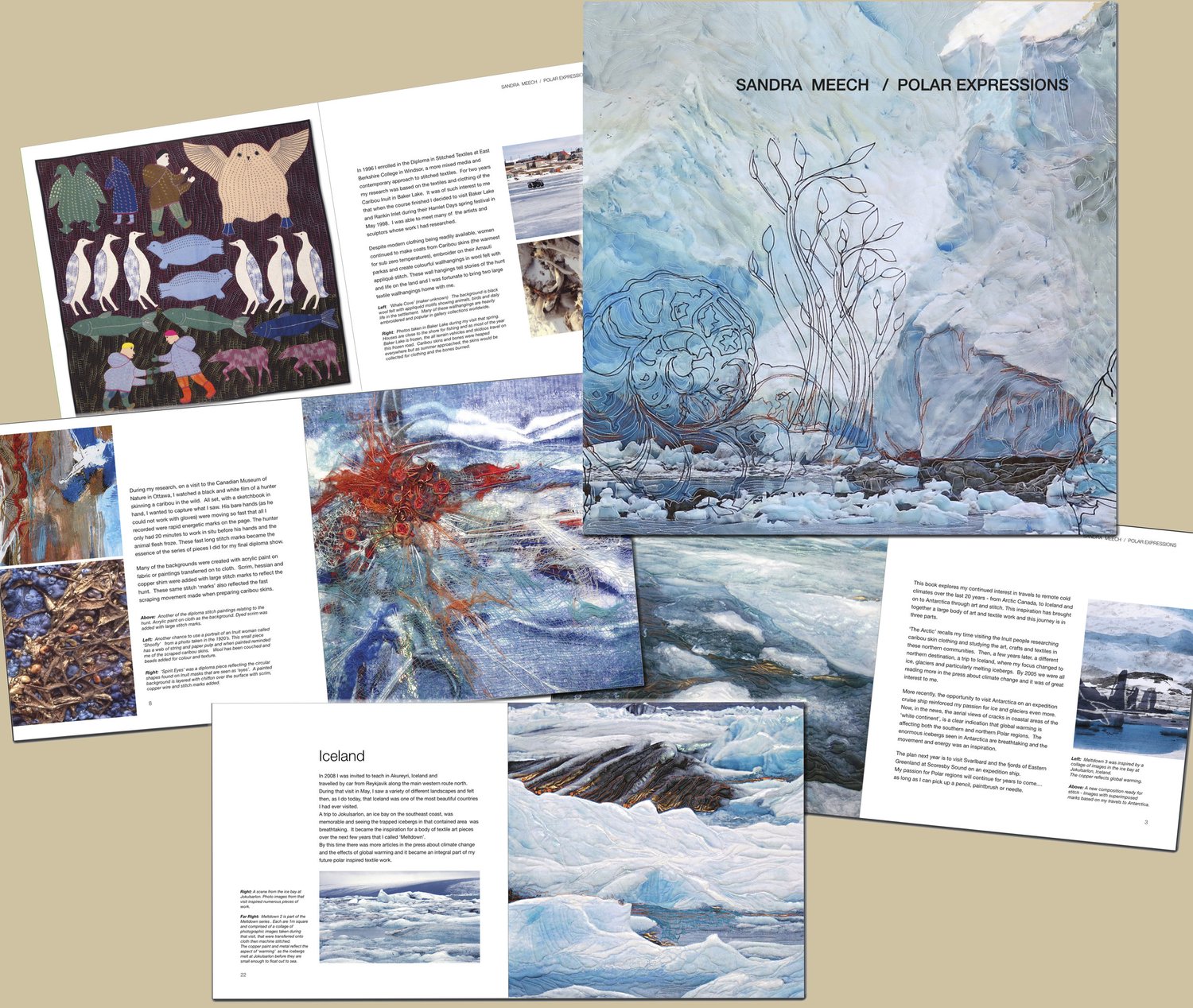 ART SPACE Blog — SANDRA MEECH