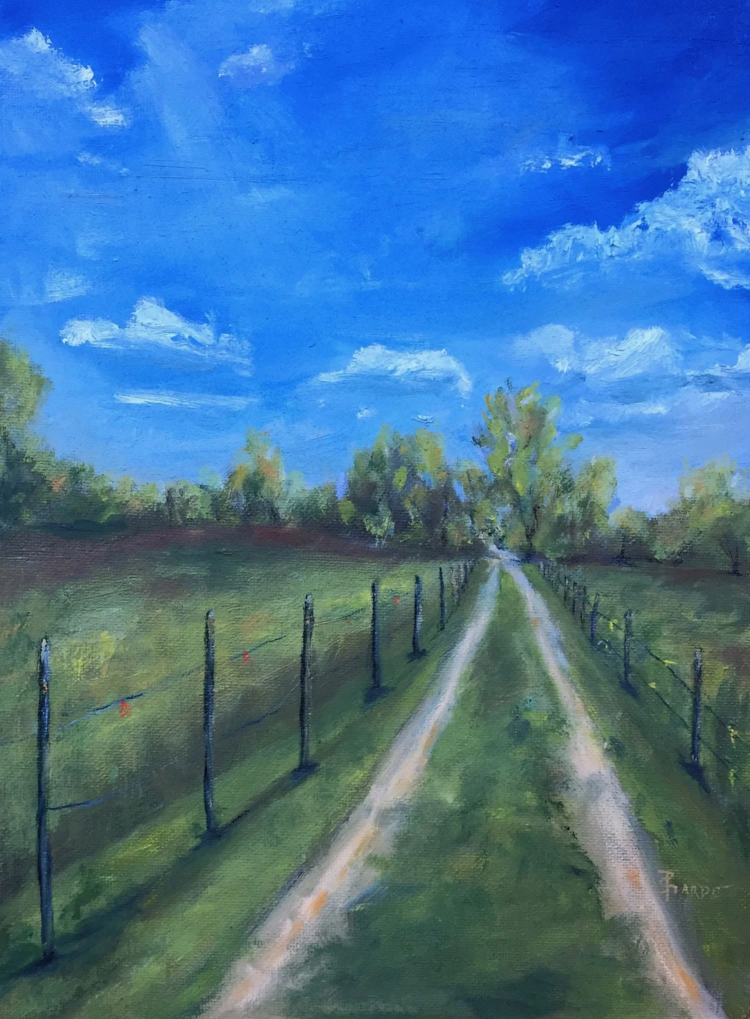 Landscape — Blog — Phyllis Sharpe Fine Art