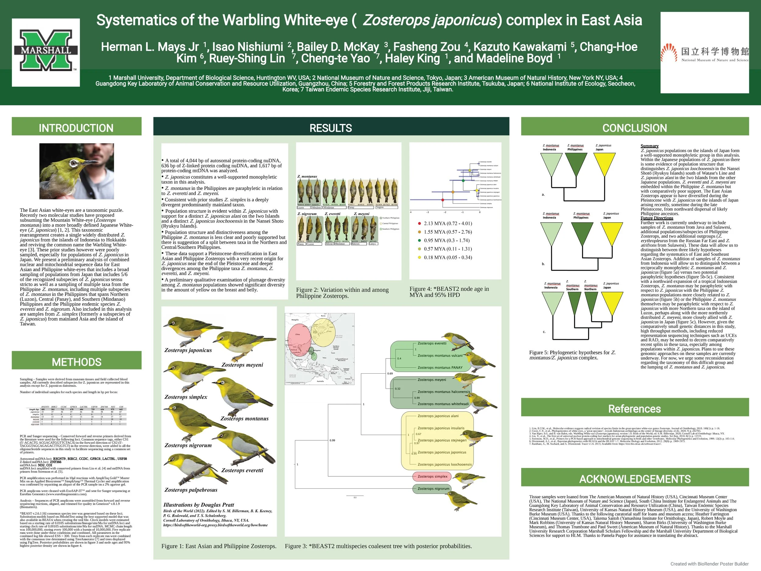 AOS and Birds Caribbean poster on the systematics of East Asian and ...