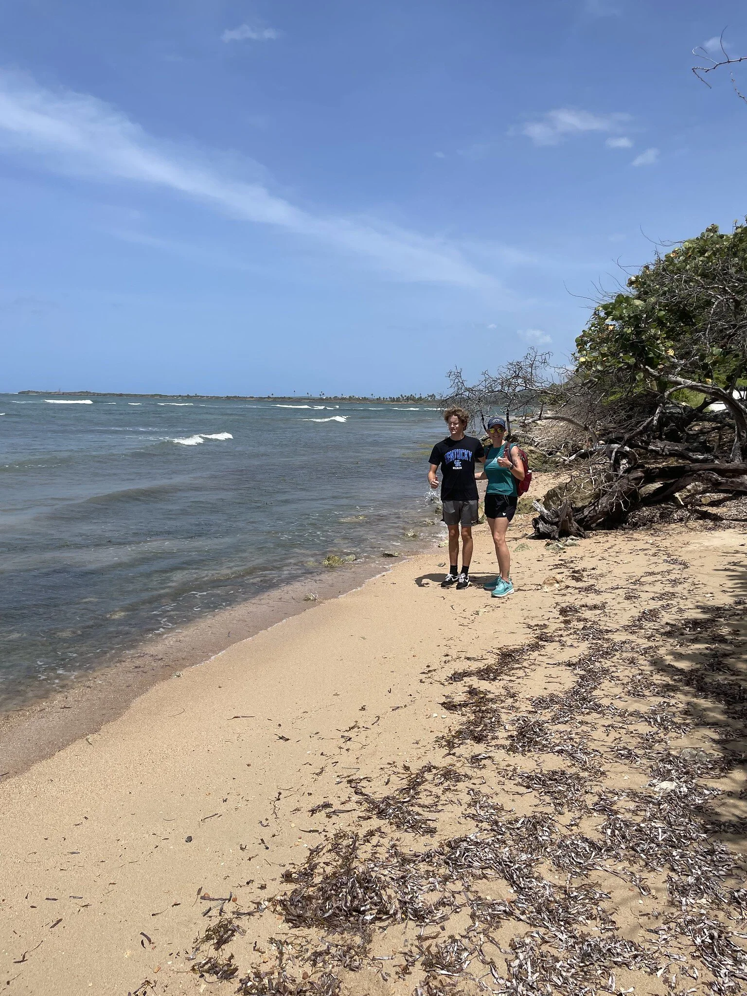 Traced: Human DNA's Big Surprise (2022) by Nathaniel Jeanson has ...