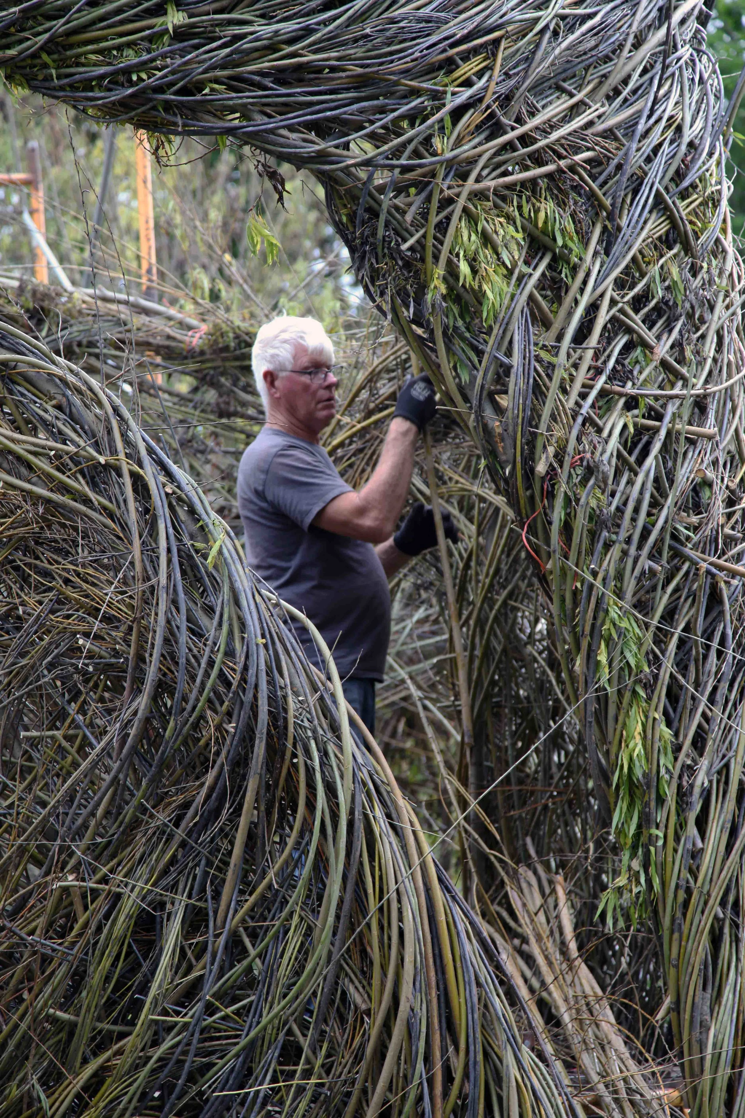 Documenting Patrick Dougherty's Stickwork sculpture on the front lawn ...