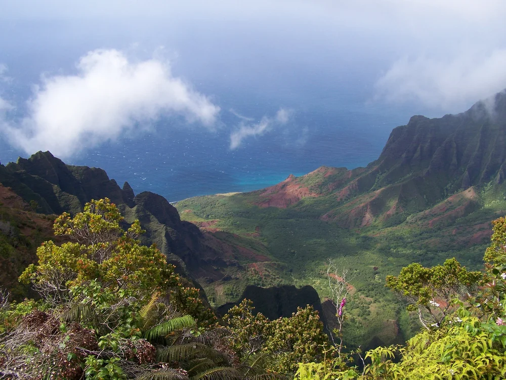 Body Axis Massage Therapy