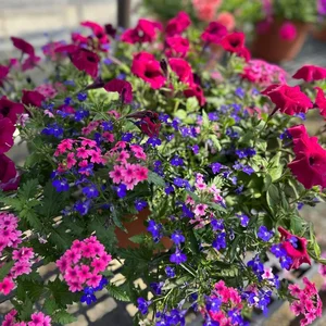 Farm Store + Deli + Winery — Garver Family Farm Market